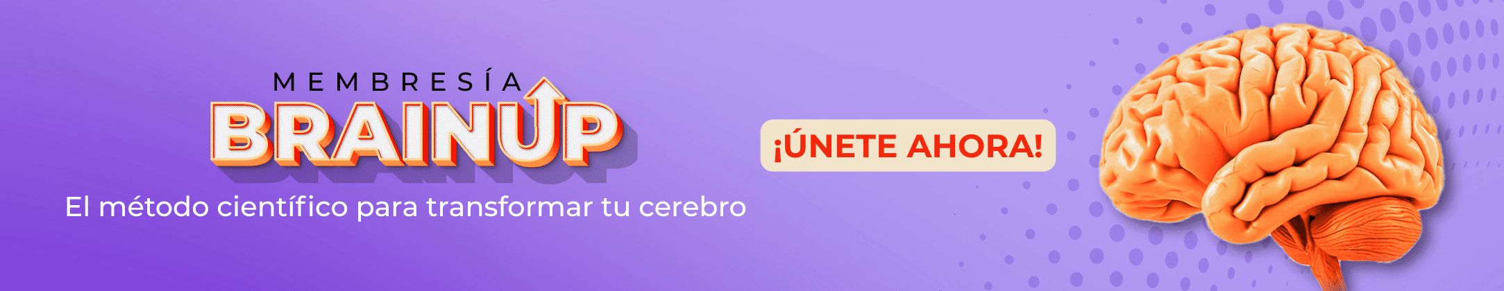 Cerebro Y Memoria La Relación Que Define Nuestra Existencia Grupo